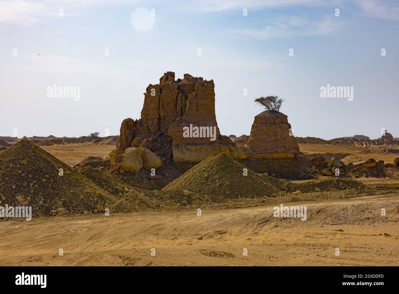 Umm Bab Beach - Palm Tree Beach Doha Qatar 24-02-2025 Stock Photo - Alamy