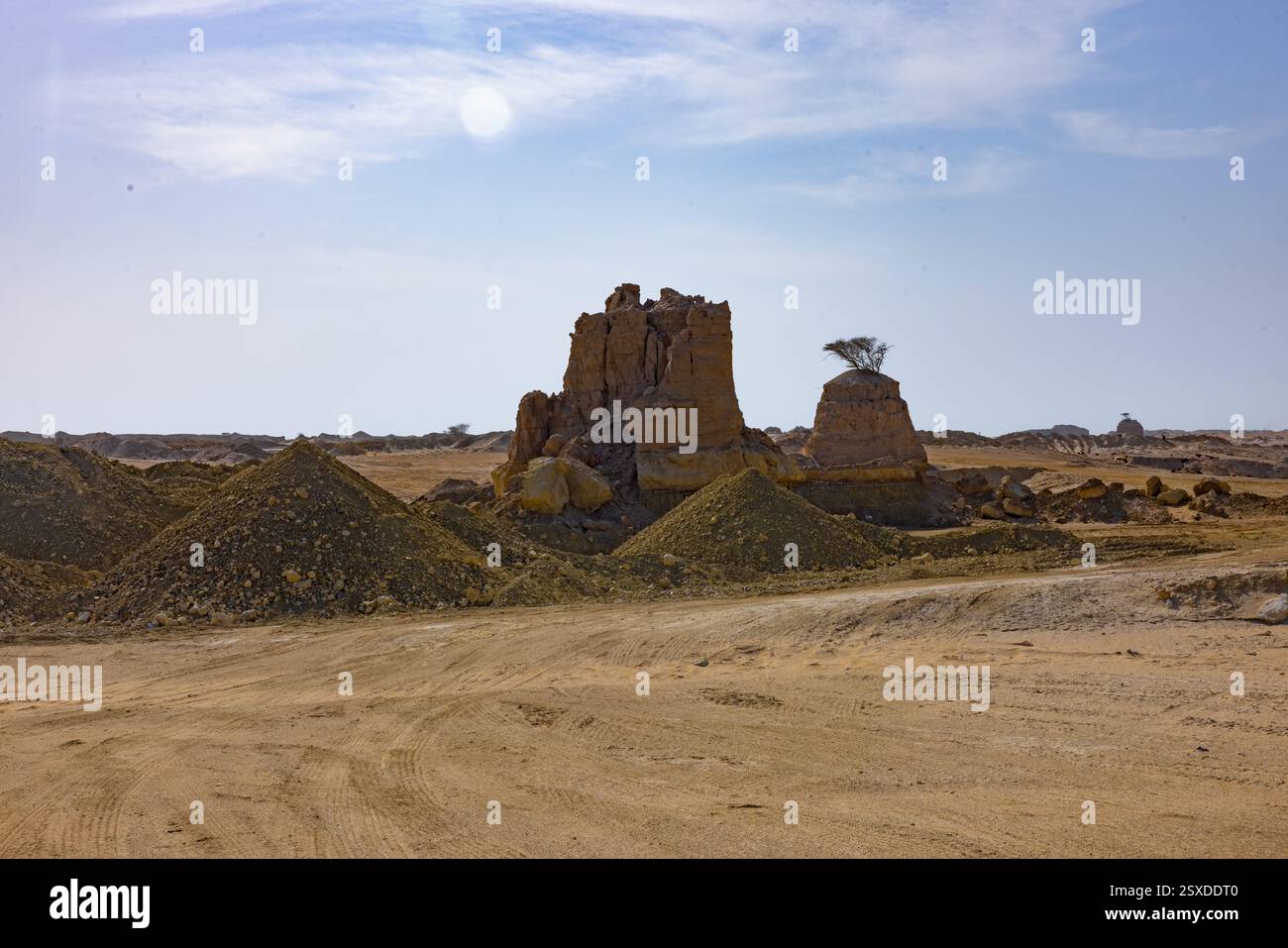 Umm Bab Beach - Palm Tree Beach Doha Qatar 24-02-2025 Stock Photo - Alamy