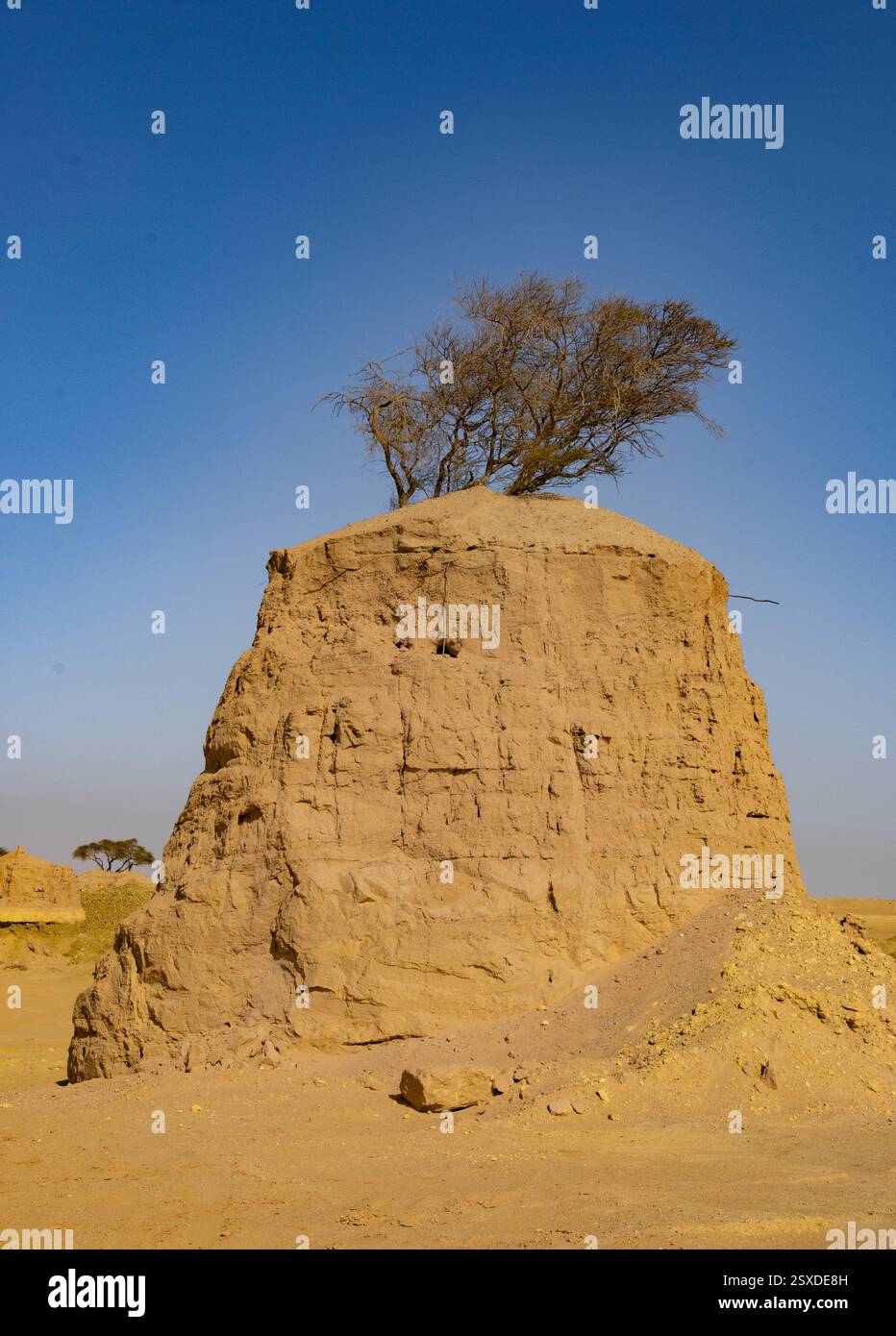Umm Bab Beach - Palm Tree Beach Doha Qatar 24-02-2025 Stock Photo - Alamy