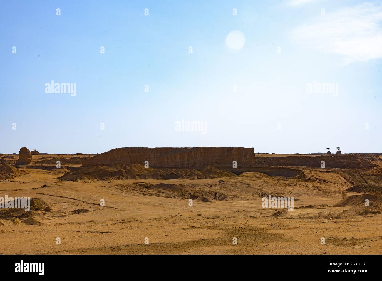 Umm Bab Beach - Palm Tree Beach Doha Qatar 24-02-2025 Stock Photo - Alamy