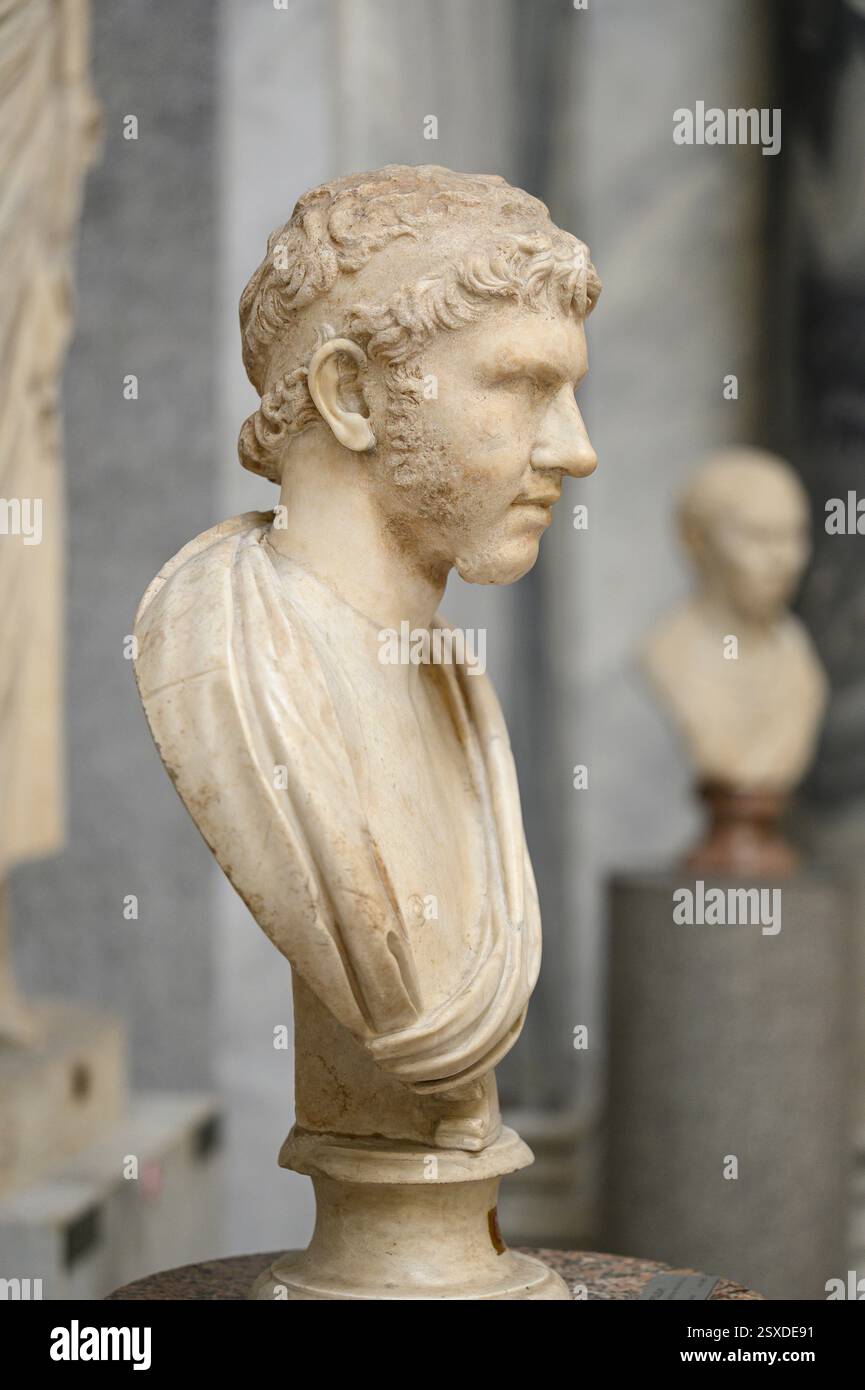 King of numidia hi-res stock photography and images - Alamy