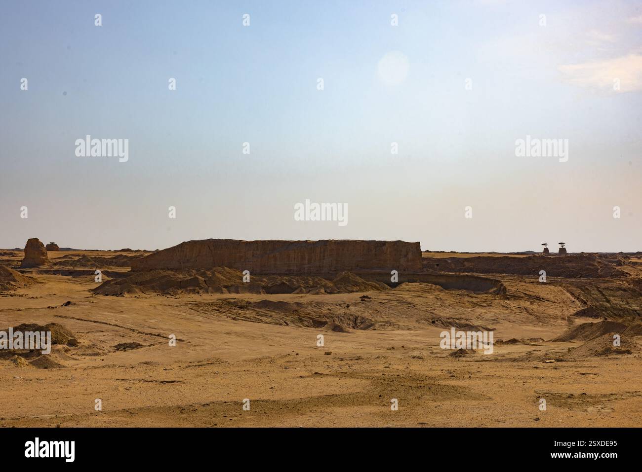 Umm Bab Beach - Palm Tree Beach Doha Qatar 24-02-2025 Stock Photo - Alamy