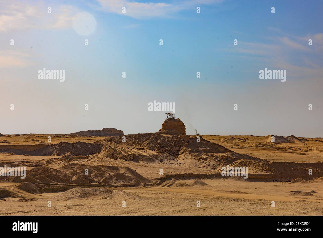 Umm Bab Beach - Palm Tree Beach Doha Qatar 24-02-2025 Stock Photo - Alamy