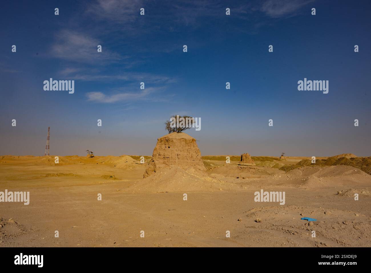 Umm Bab Beach - Palm Tree Beach Doha Qatar 24-02-2025 Stock Photo - Alamy