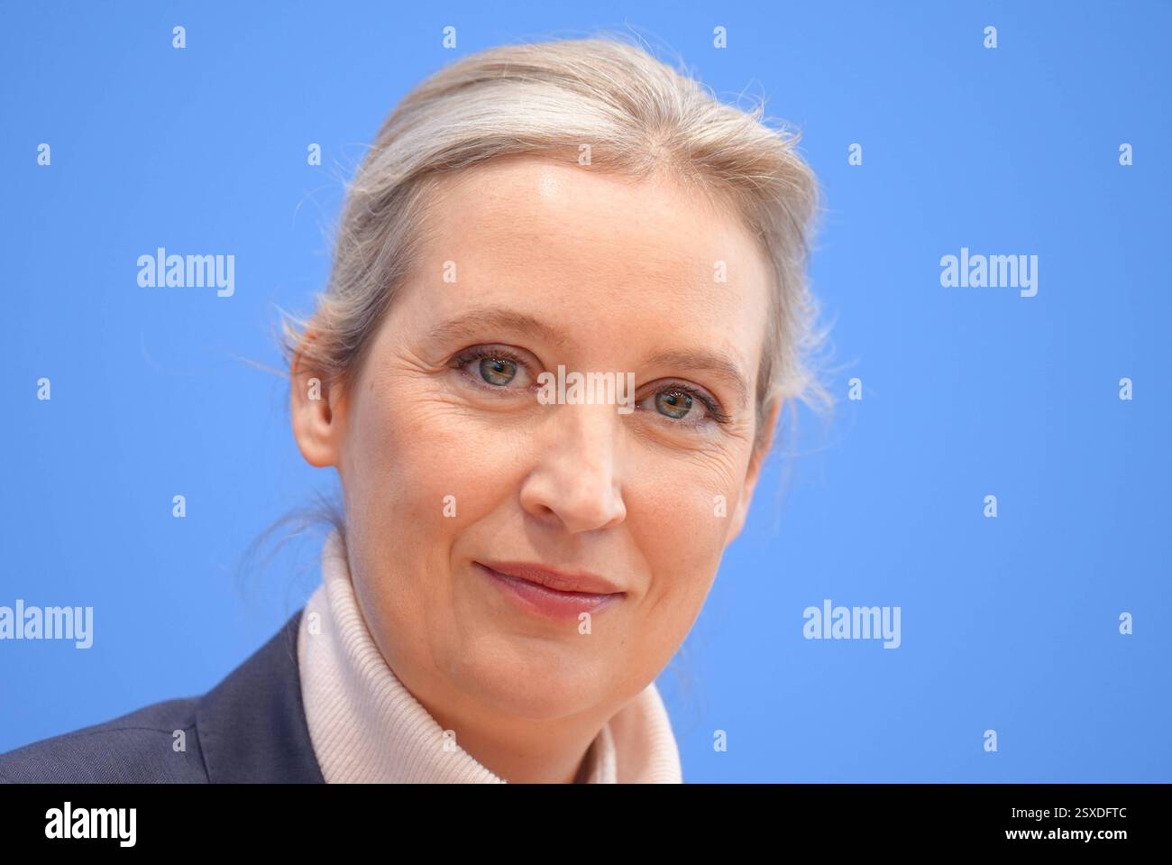 Pressekonferenz der AfD Berlin Berlin Deutschland *** Press conference ...