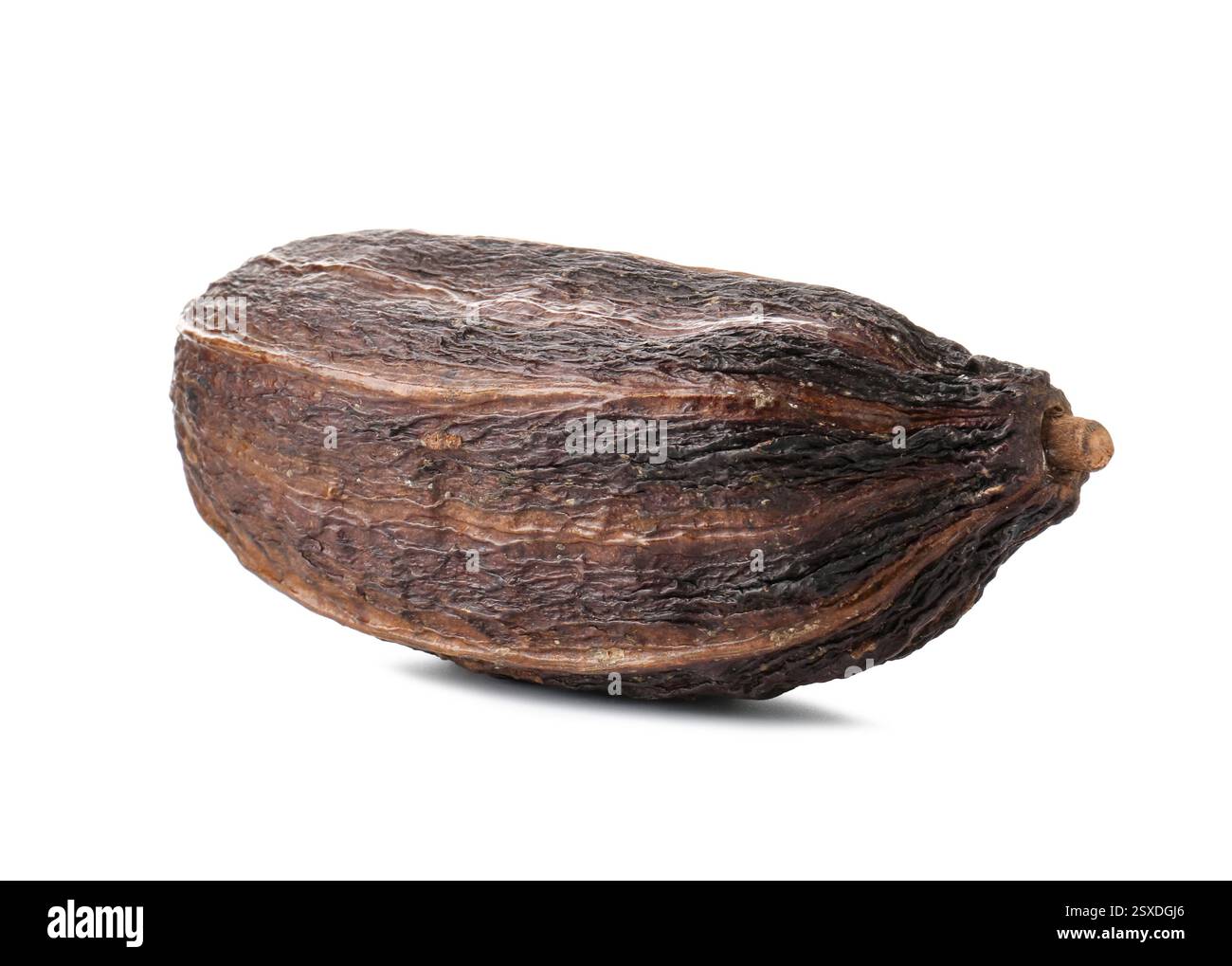 Whole tropical cocoa pod isolated on white Stock Photo - Alamy