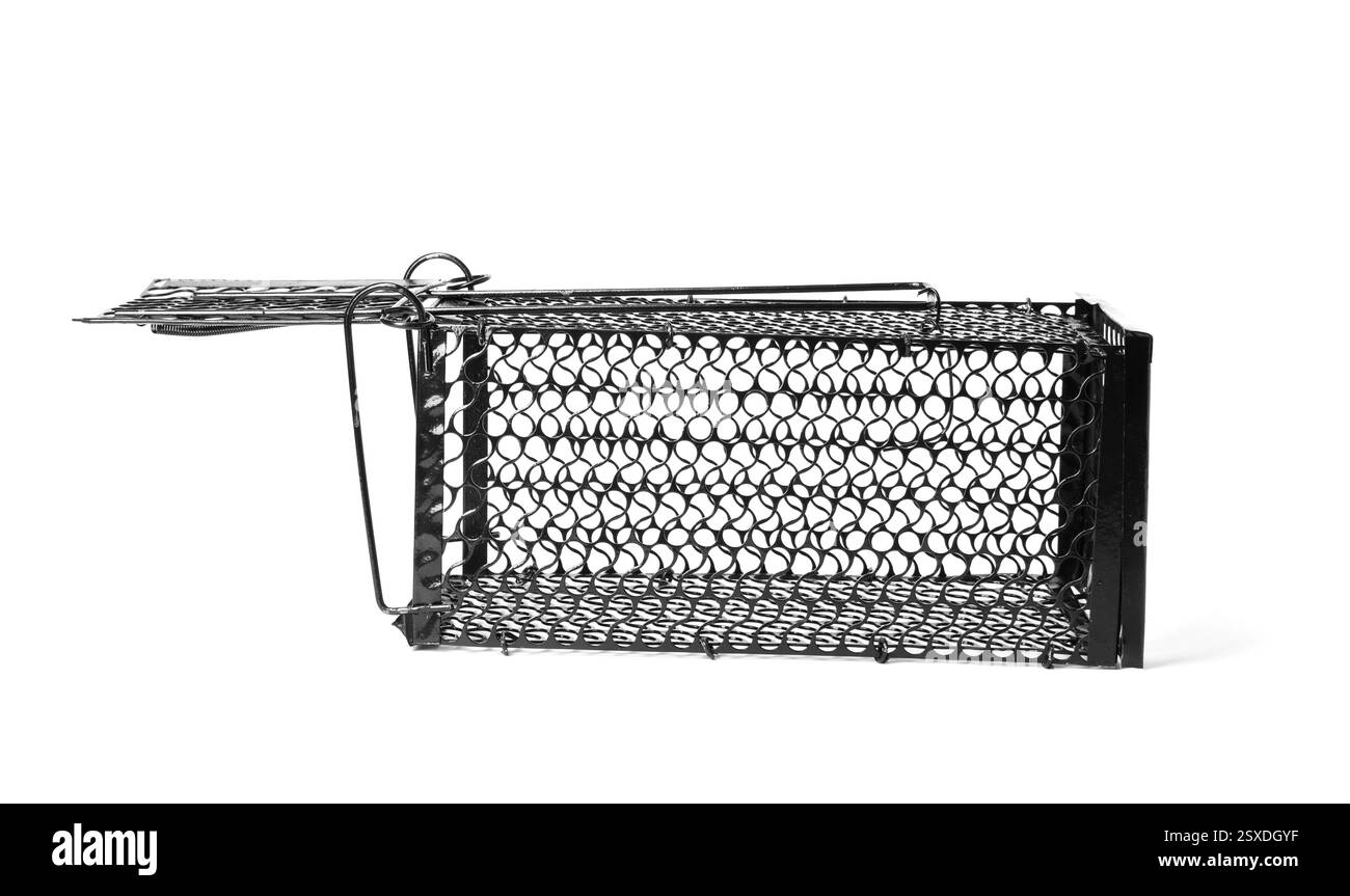 One metal mouse trap isolated on white Stock Photo - Alamy