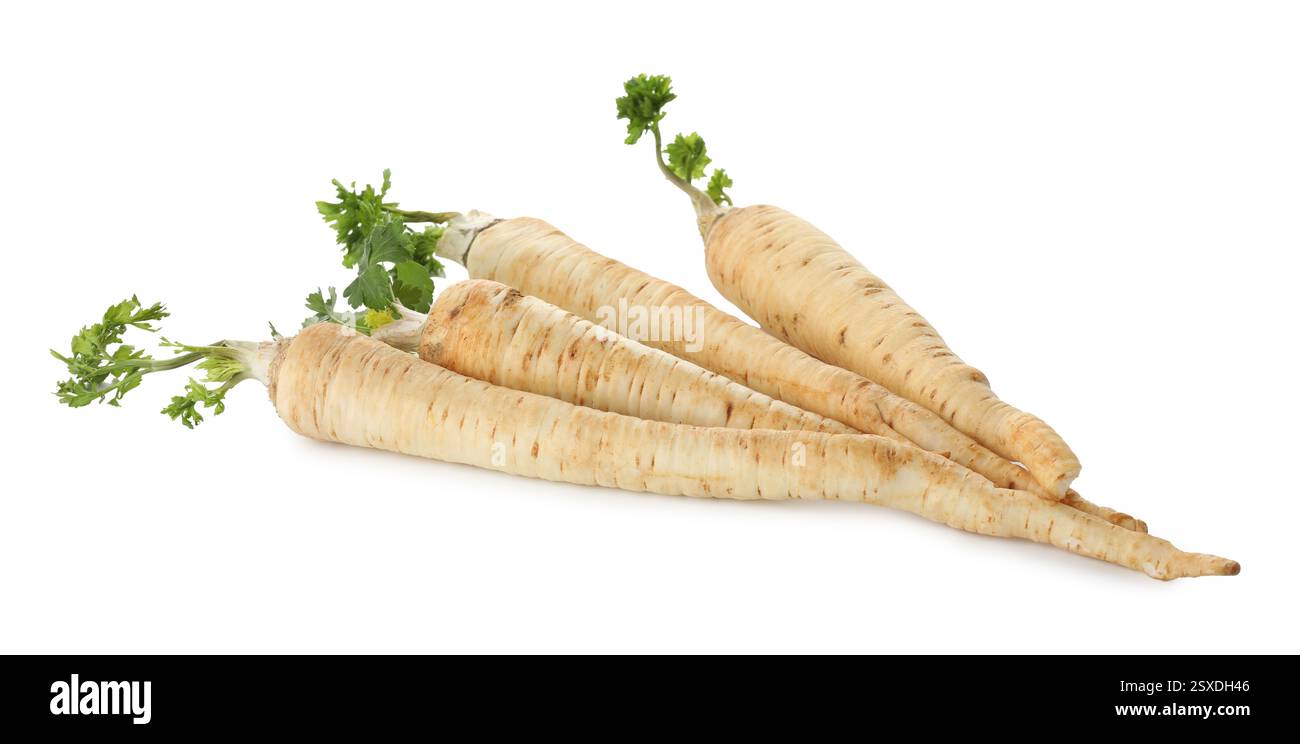 Many fresh parsley roots isolated on white Stock Photo - Alamy