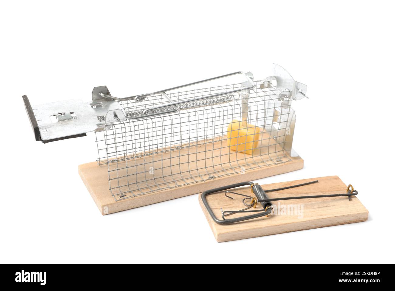 Two mouse traps with cheese isolated on white Stock Photo - Alamy
