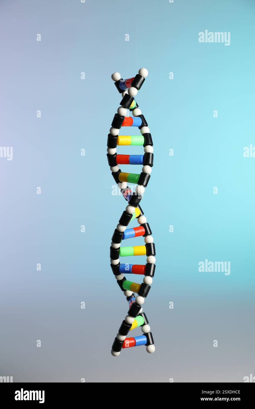 One DNA structure model on color background Stock Photo - Alamy