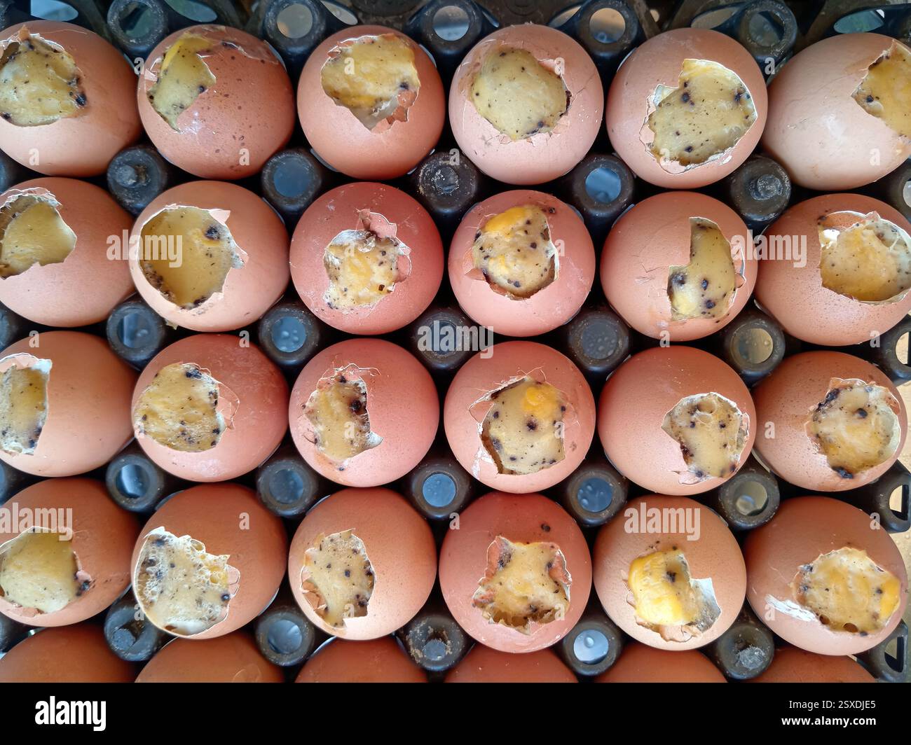 Balut is a fertilized developing egg embryo that is boiled or steamed ...