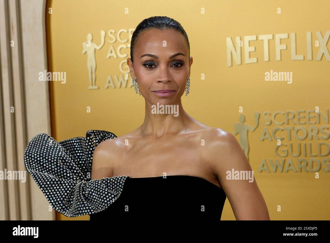 Los Angeles, USA. 23rd Feb, 2025. Zoe Saldana arriving at the 31st ...