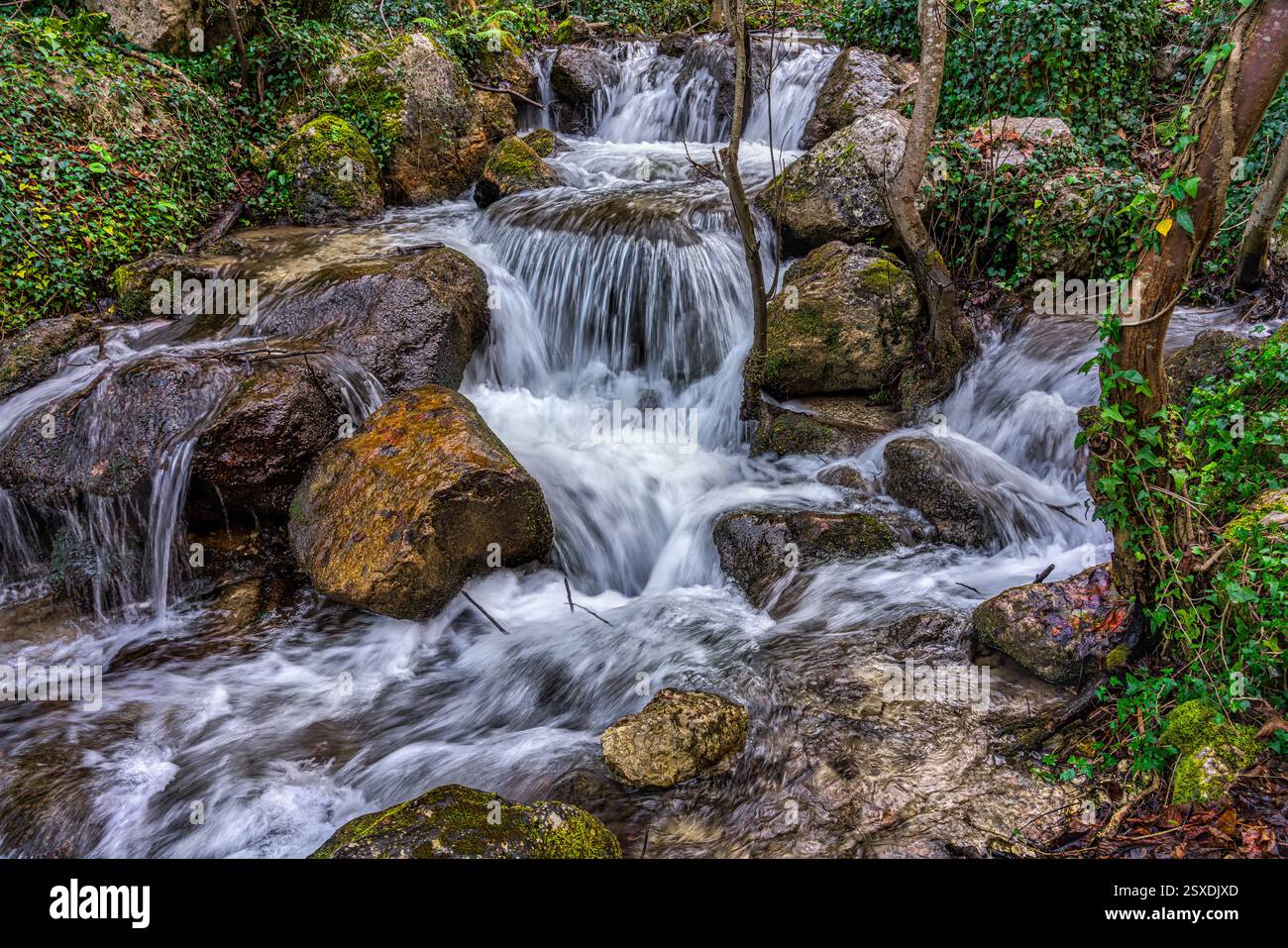Gentle waterfall flowing through mossy rocks in lush Cauto Springs ...