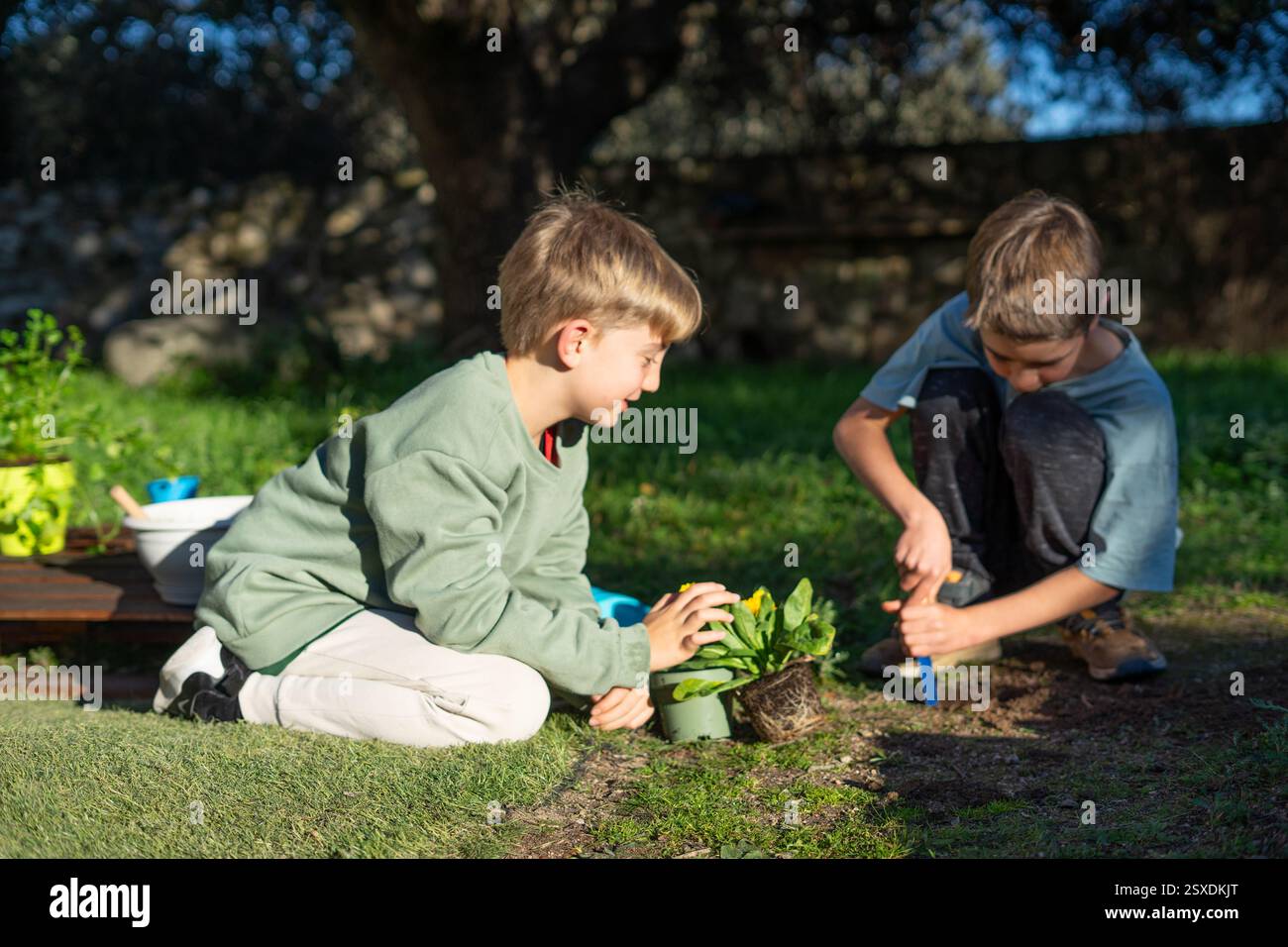 Two brothers planting flowers in their backyard garden, enjoying a ...