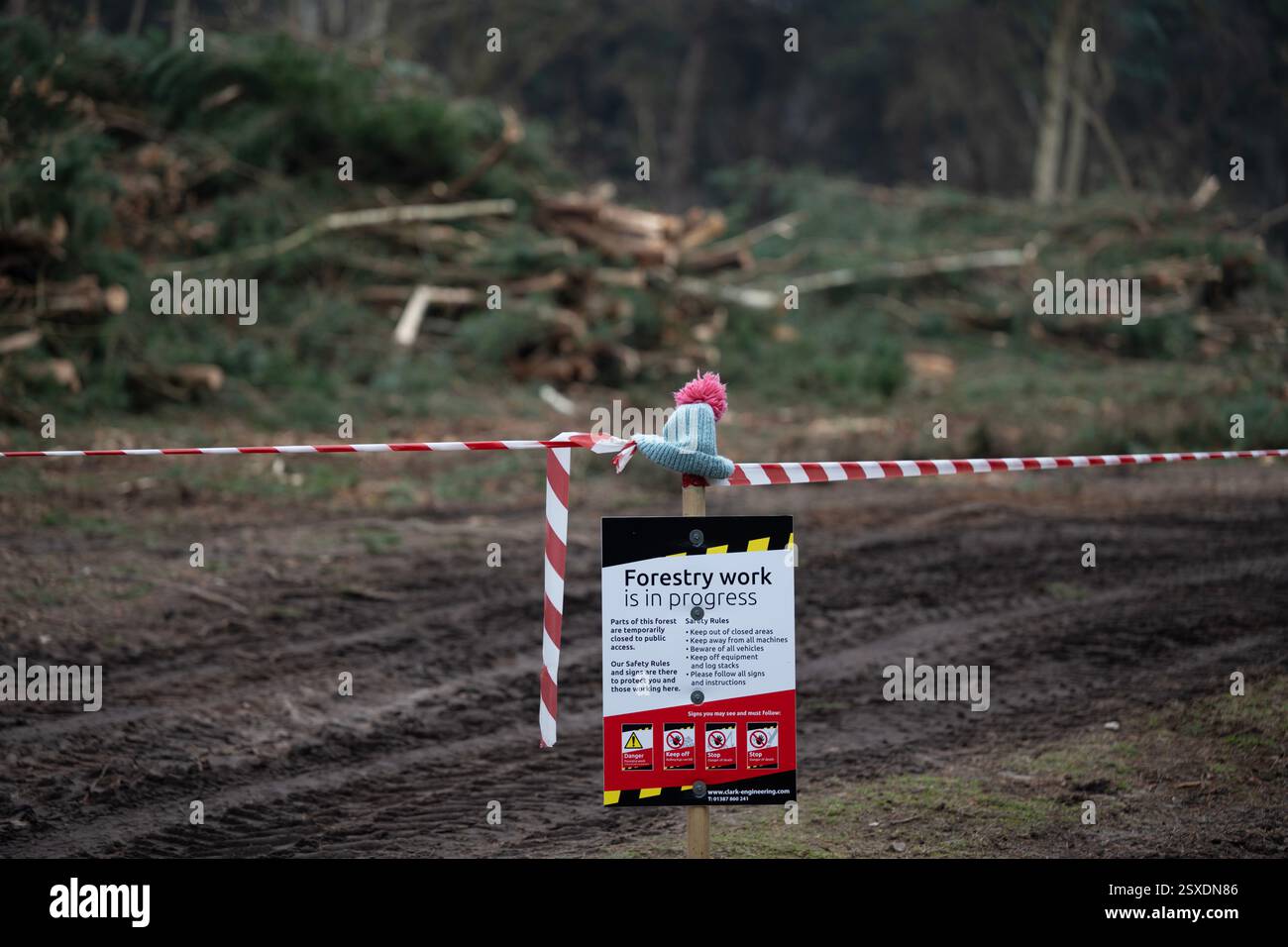 Foresty work hi-res stock photography and images - Alamy