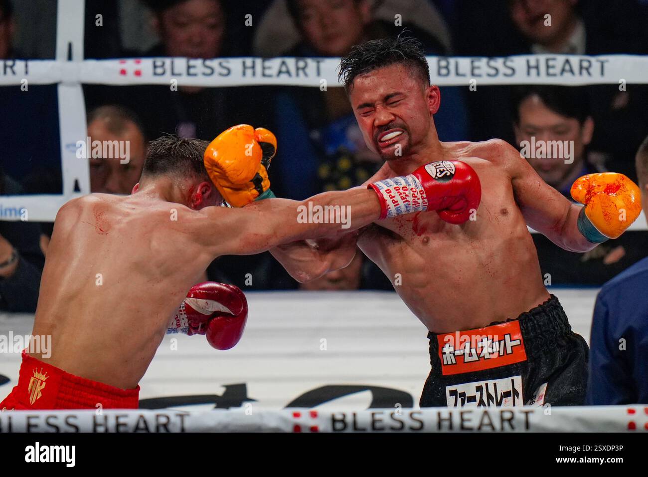 Daigo Higa , right,of Japan fight with Seiya Tsutsumi , left, of Japan ...