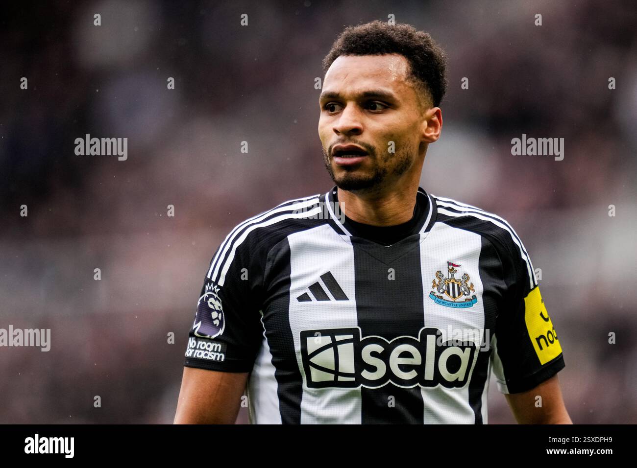 NEWCASTLE UPON TYNE, ENGLAND - FEBRUARY 23: Jacob Murphy of Newcastle ...