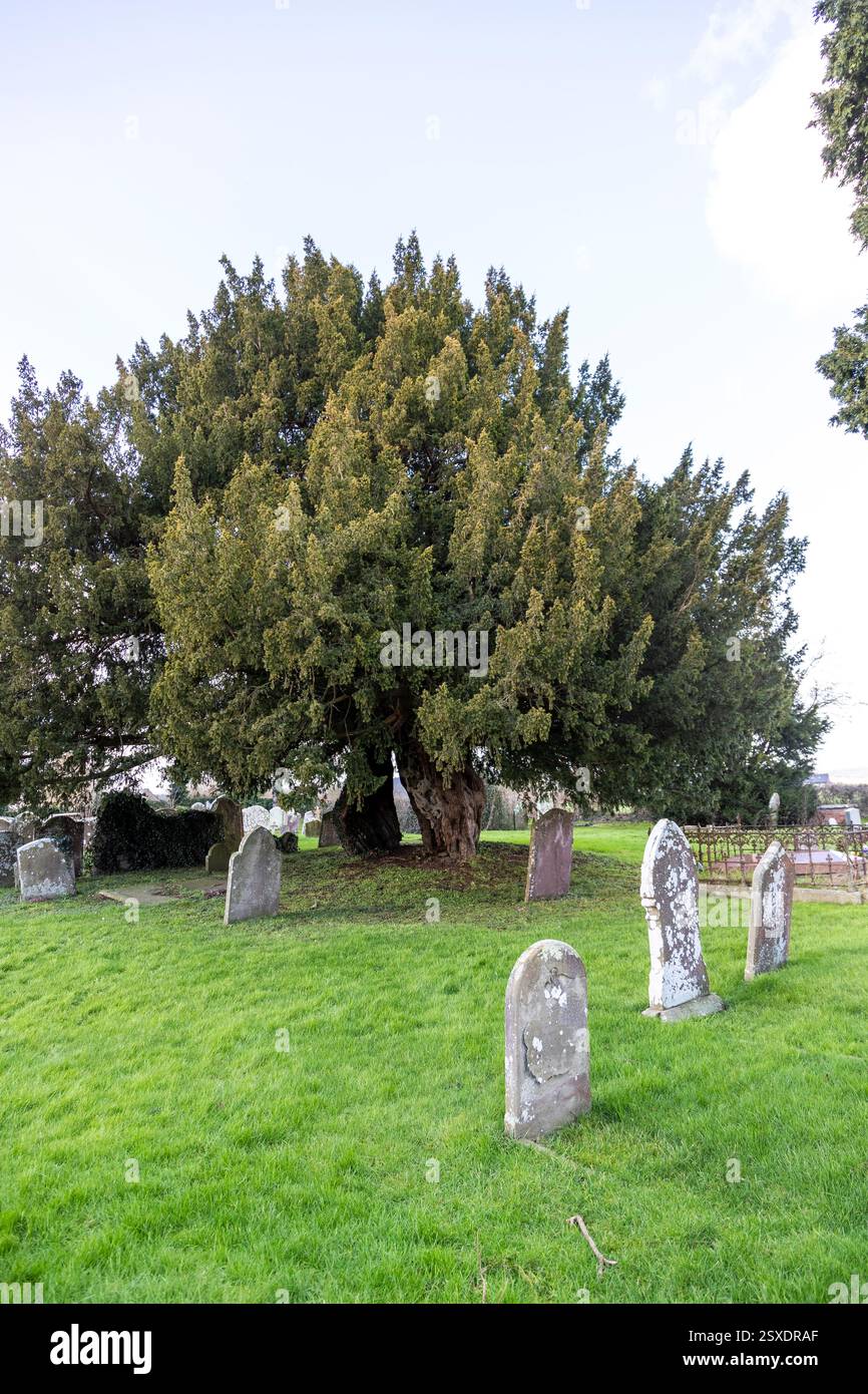 St Andrew's church, Awre stands on the highest ground of the Awre ...
