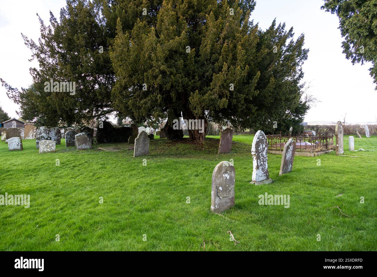 St Andrew's church, Awre stands on the highest ground of the Awre ...