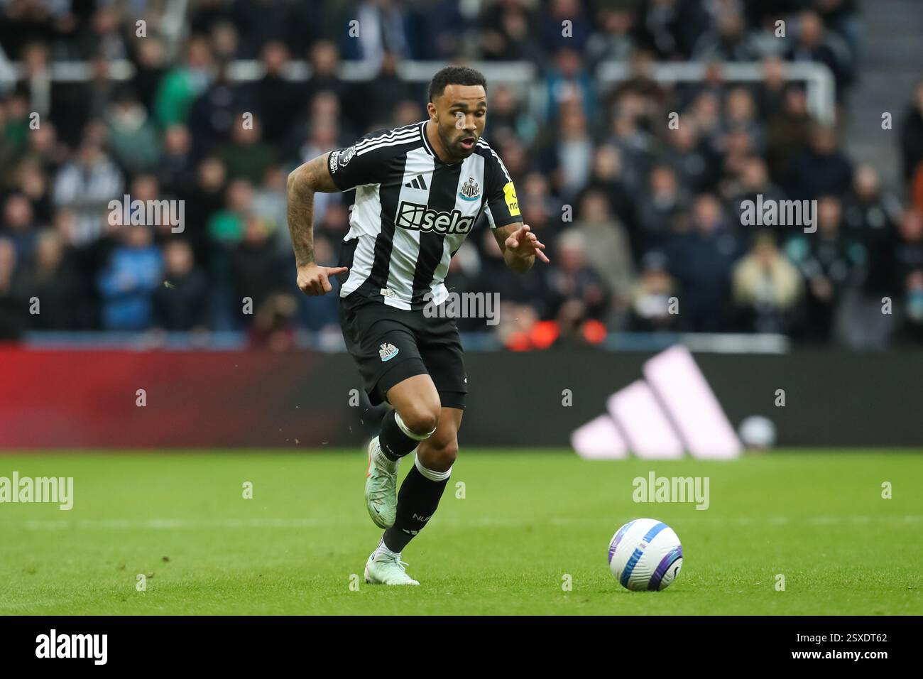Newcastle, UK. 23rd Feb, 2025. Callum Wilson Of Newcastle United during ...