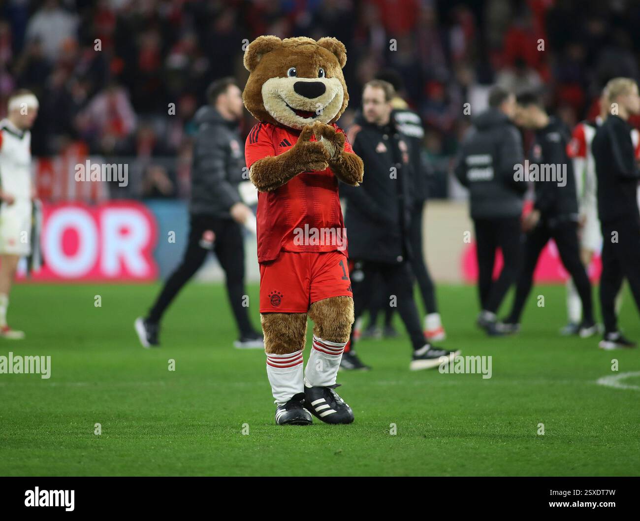 Das maskottchen berni auf dem spielfeld hi-res stock photography and ...