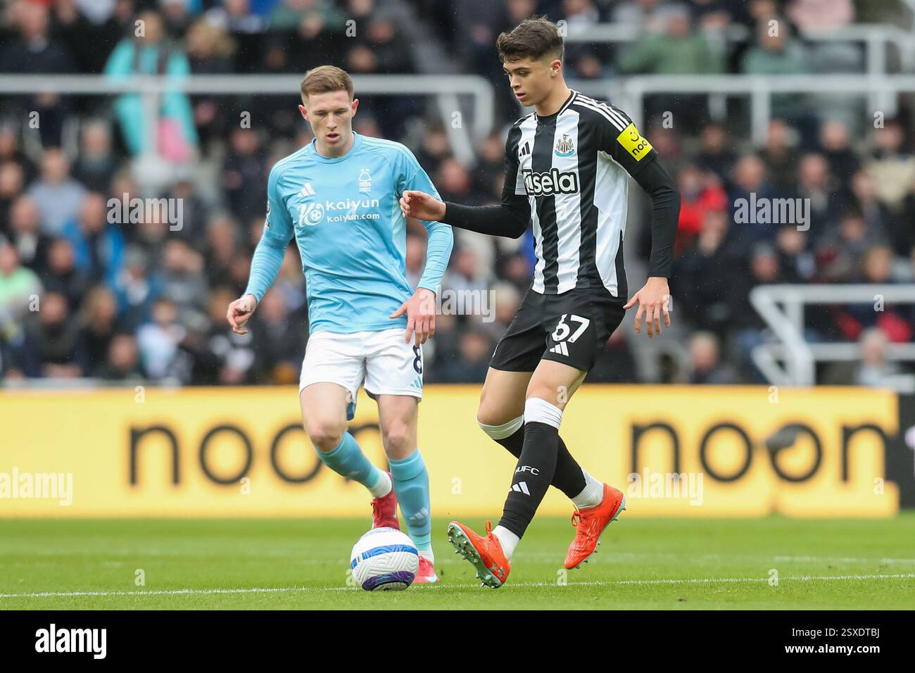 Newcastle, UK. 23rd Feb, 2025. Lewis Miley Of Newcastle United during ...