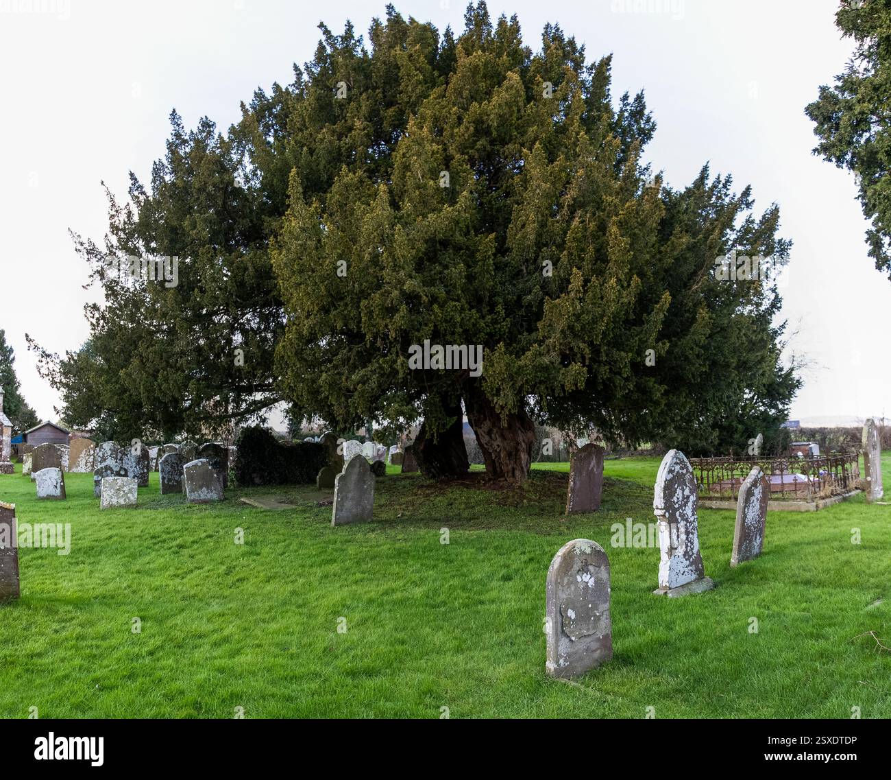 St Andrew's church, Awre stands on the highest ground of the Awre ...