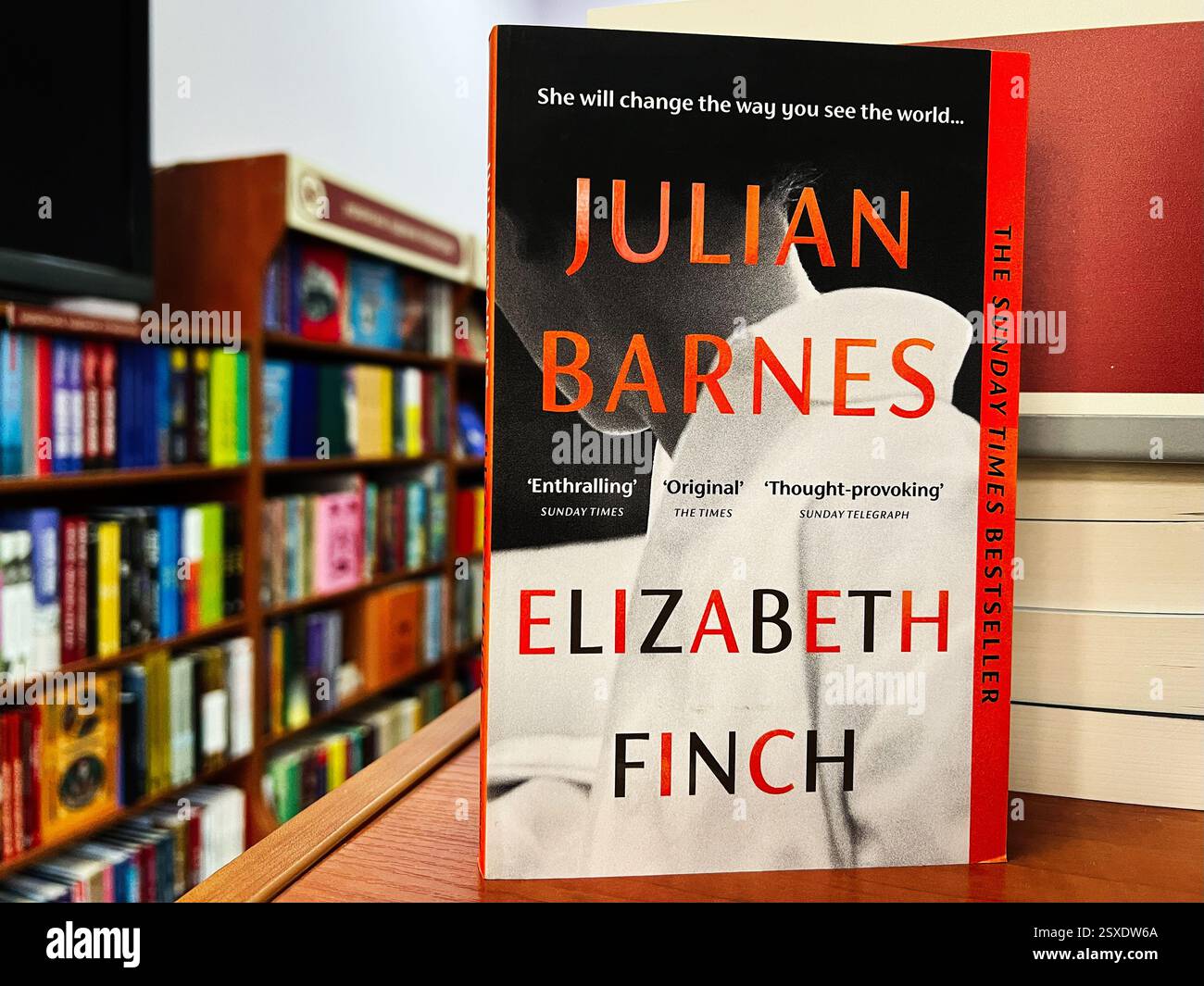 Lviv, Ukraine - February 20, 2025: Julian Barnes' book, Elizabeth Finch ...