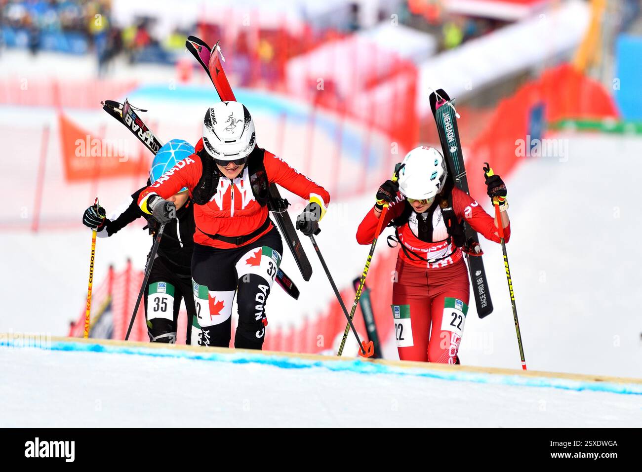 Bormio, Italy. 22nd Feb, 2025. Uphill on foot during ISMF World Cup ...