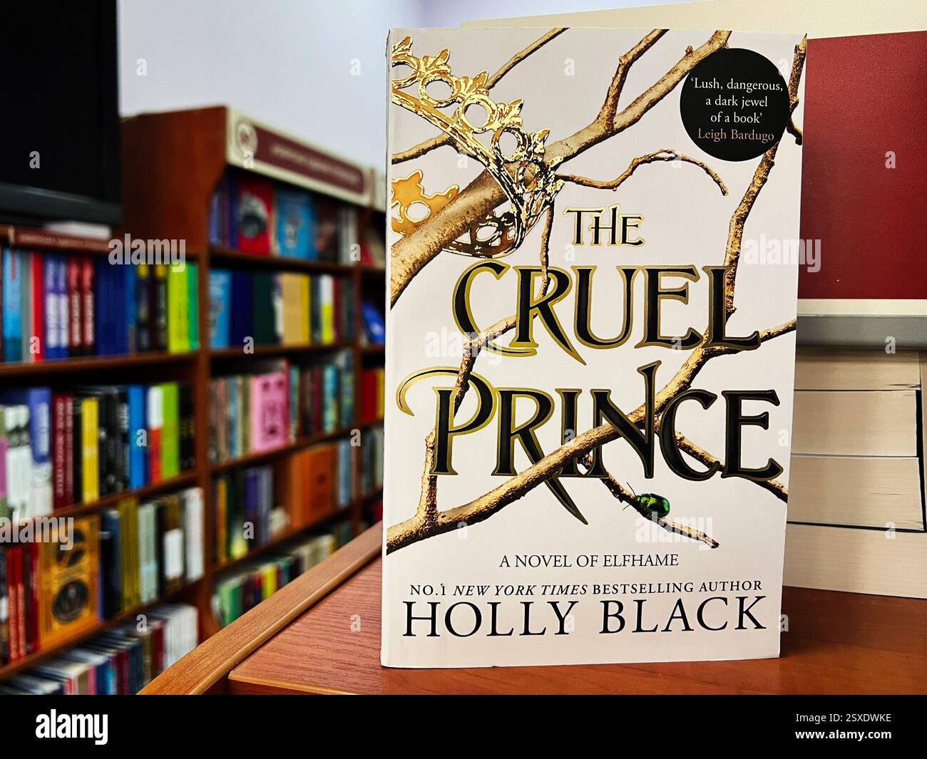 Lviv, Ukraine - February 20, 2025: Cover of 'The Cruel Prince' by Holly ...