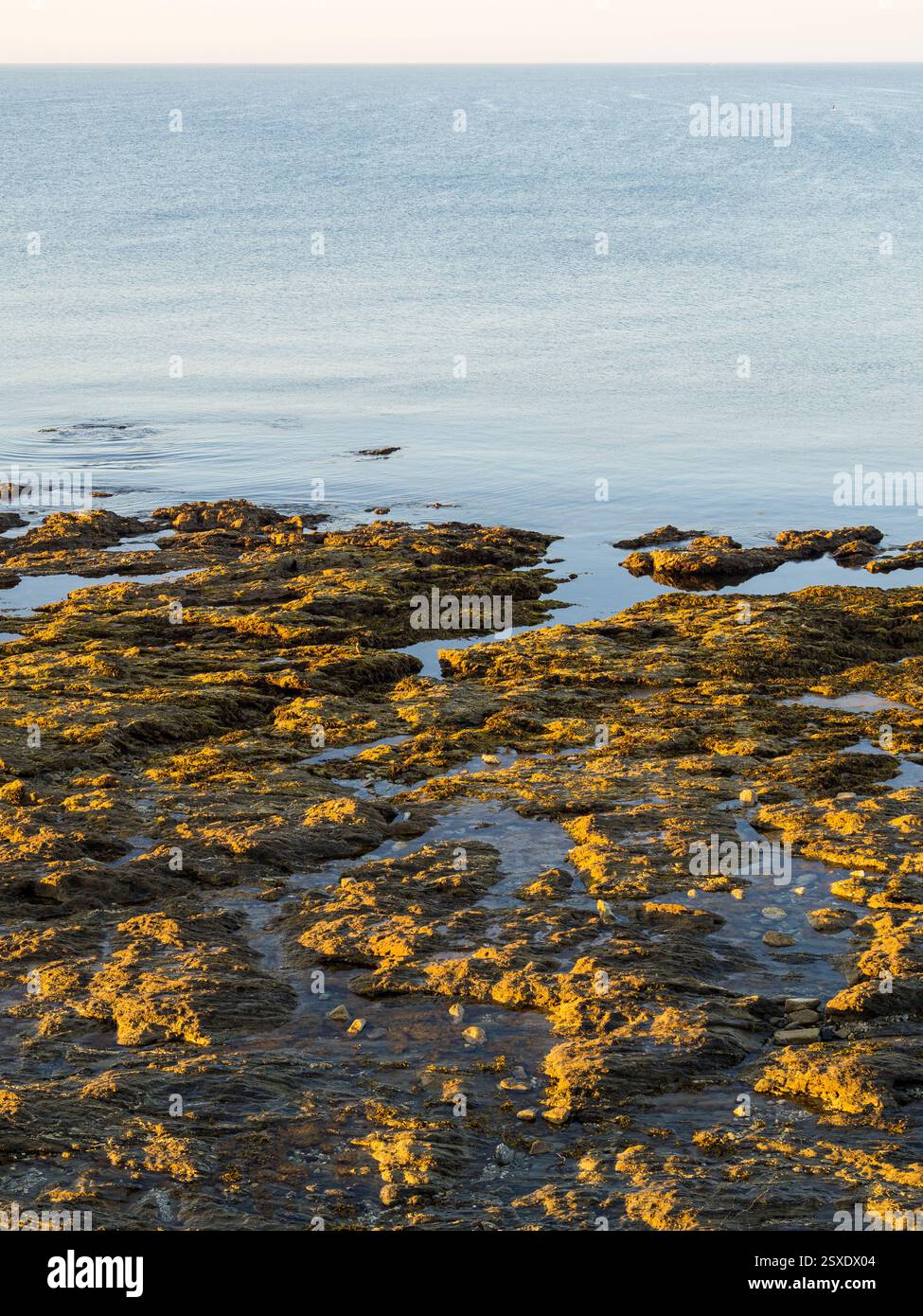 Falmouth cornwall castle beach hi-res stock photography and images - Alamy