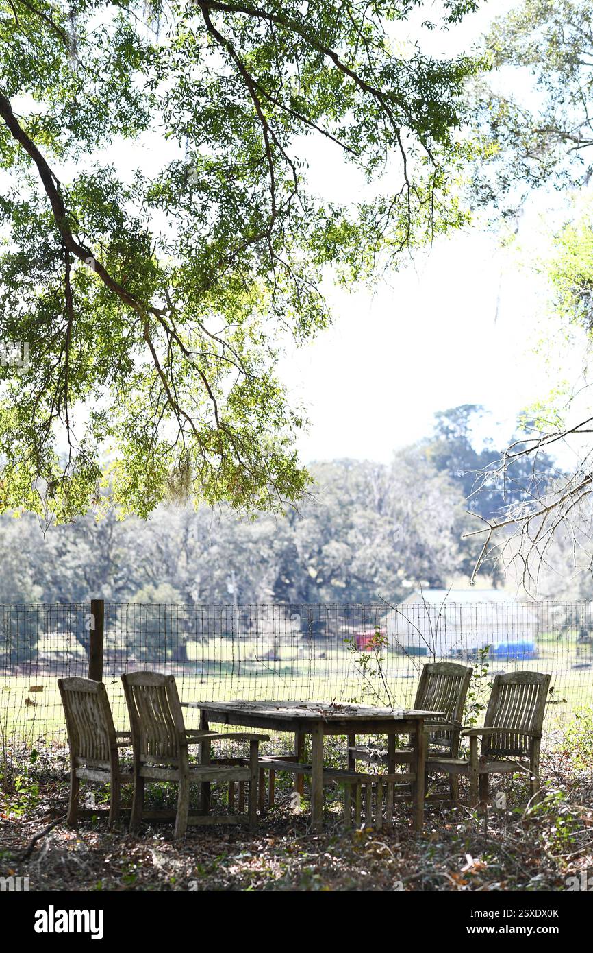 Rustic wooden table and chairs under tree shade in a rural Flori Stock ...