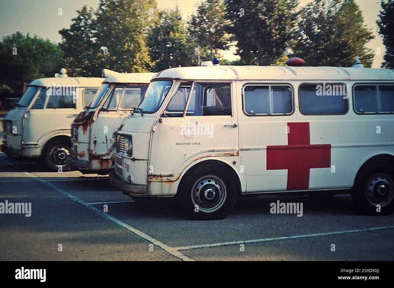 RECORD DATE NOT STATED. Analoge Fotografie. Alfa Romeo F12 Transporter ...
