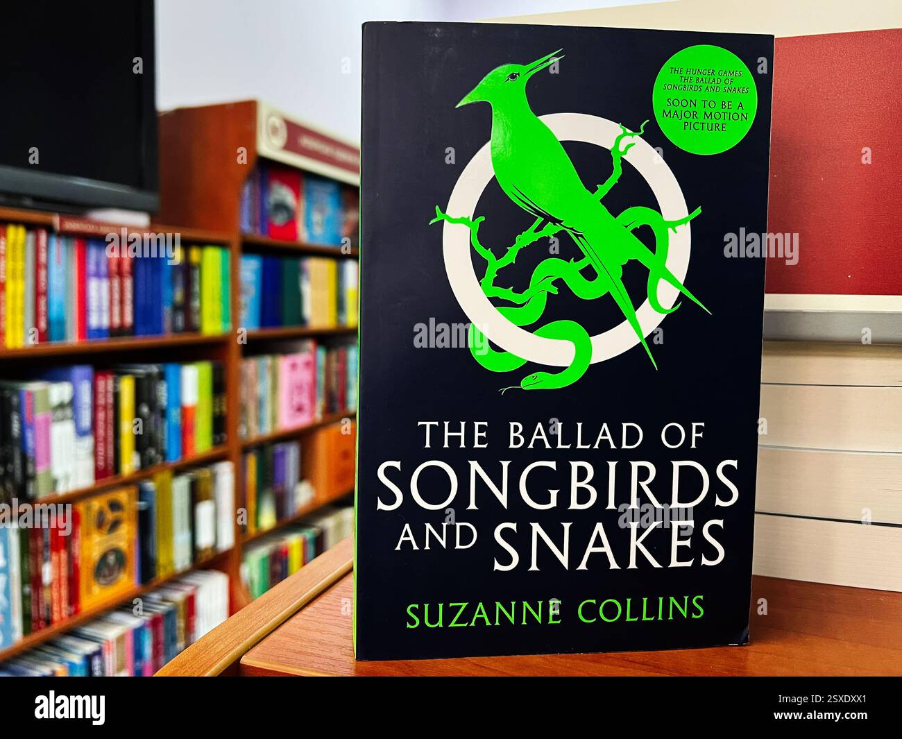 Lviv, Ukraine - February 20, 2025: Book cover of The Ballad of ...