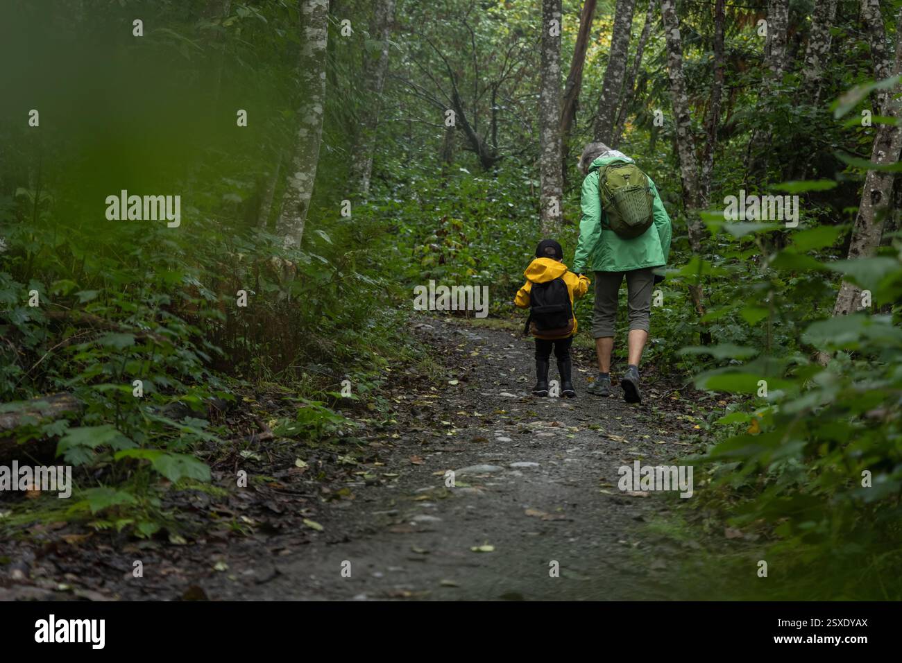Child and grandma hiking through lush green forest Stock Photo - Alamy