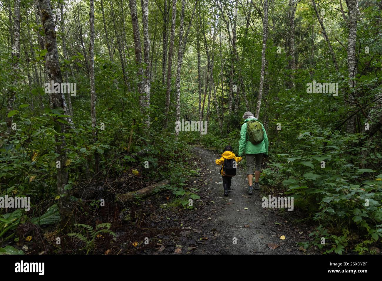 Grandparent and child exploring forest nature together Stock Photo - Alamy