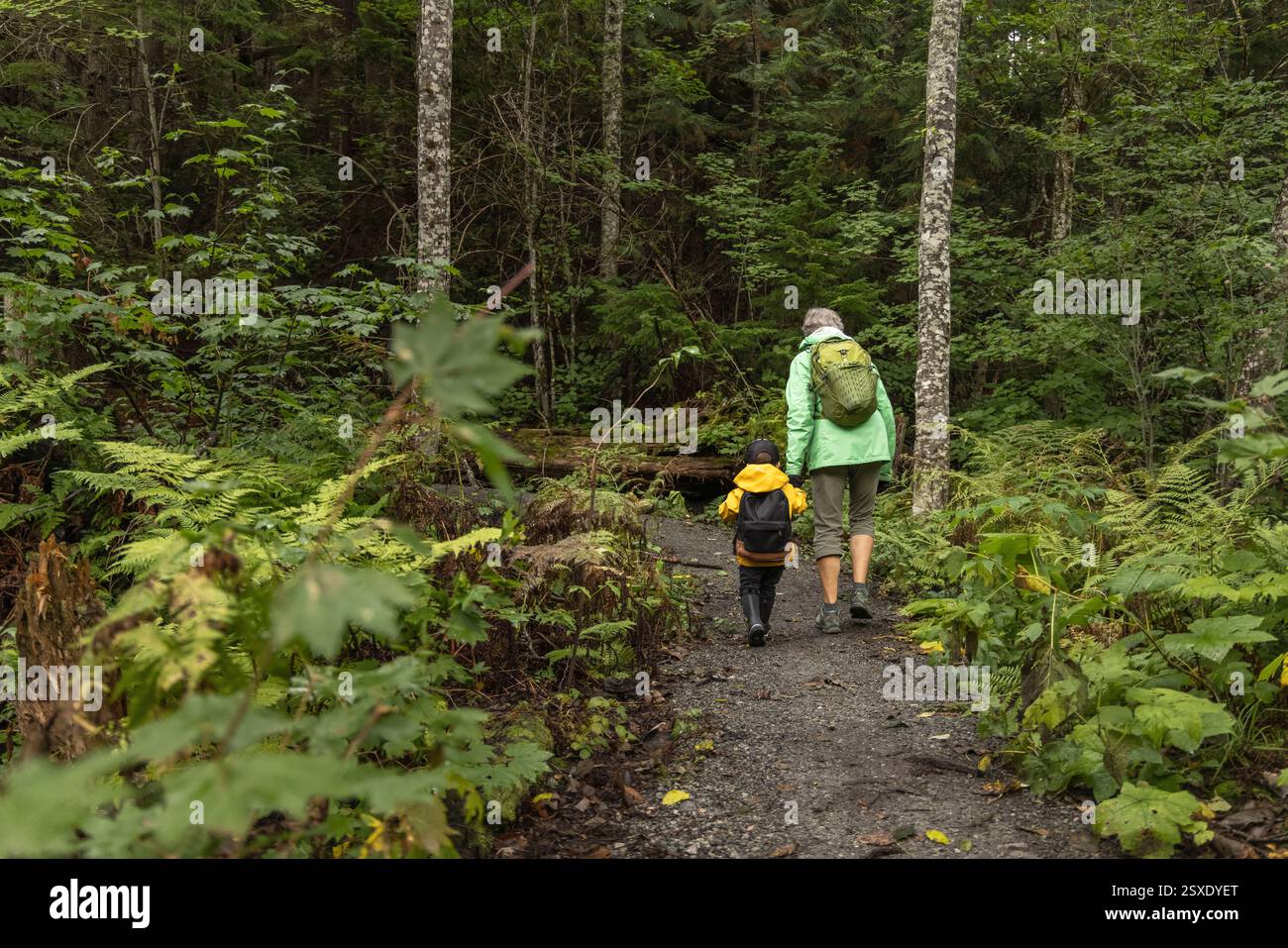 Playful child enjoying a nature walk with his grandma Stock Photo - Alamy