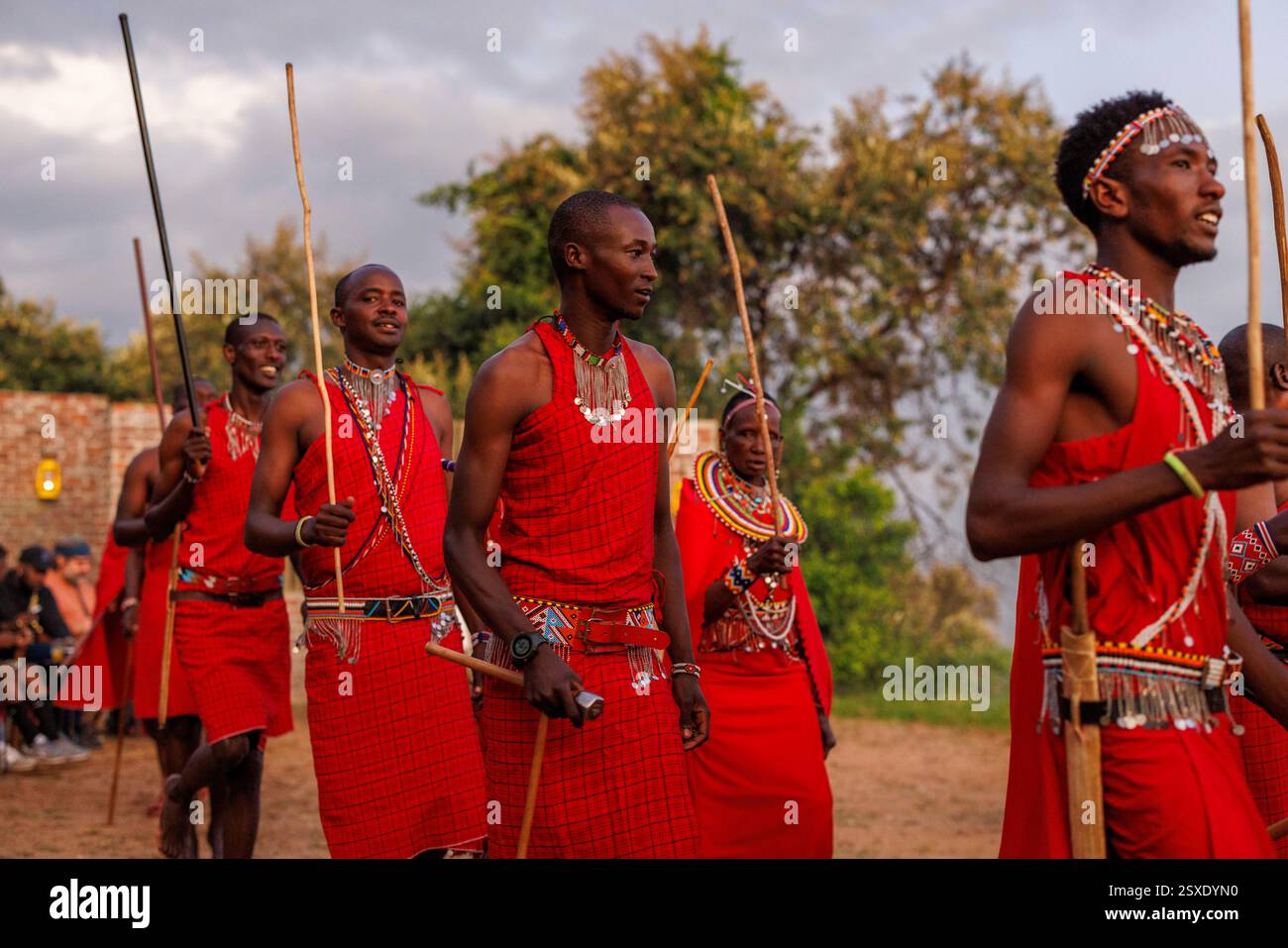 Traditional Masai tribesmen perform a ritual dance in Kenya Stock Photo ...