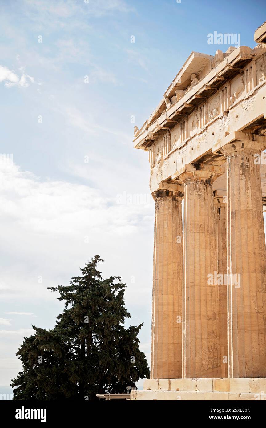 Sunlit Parthenon columns with intricate details against a blue sky ...