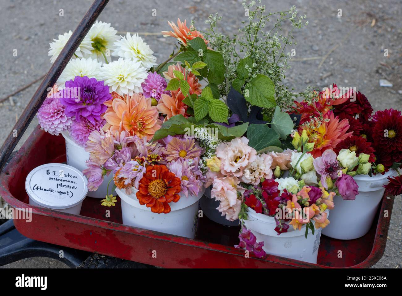 A variety of colorful flowers in buckets in a red wagon on a roadside ...