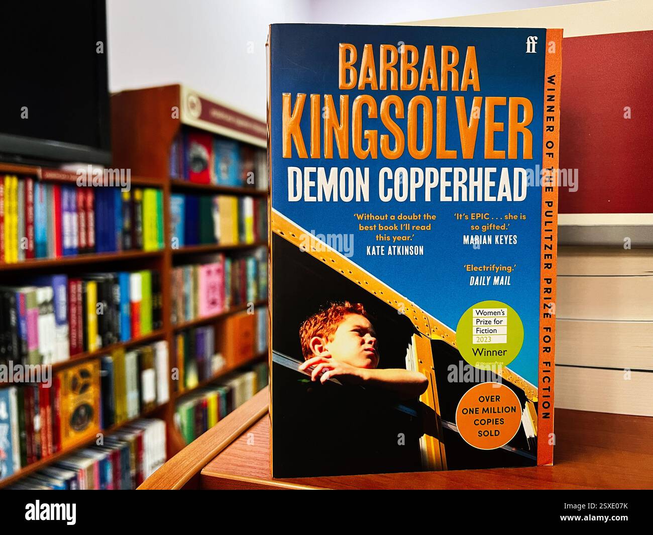 Lviv, Ukraine - February 20, 2025: The book Demon Copperhead by Barbara ...