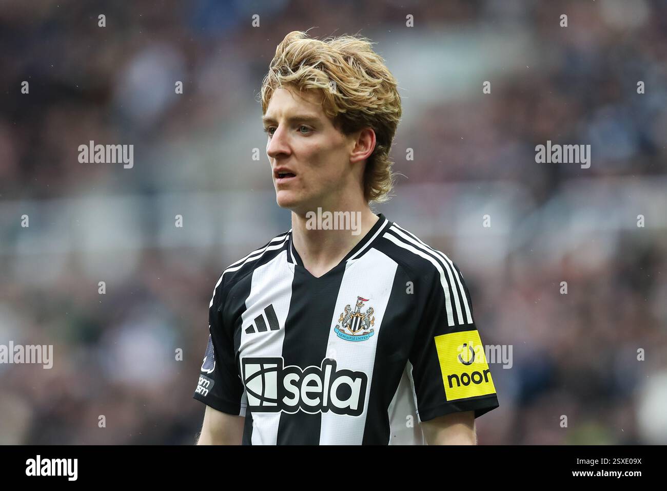 Newcastle, UK. 23rd Feb, 2025. Anthony Gordon Of Newcastle United ...