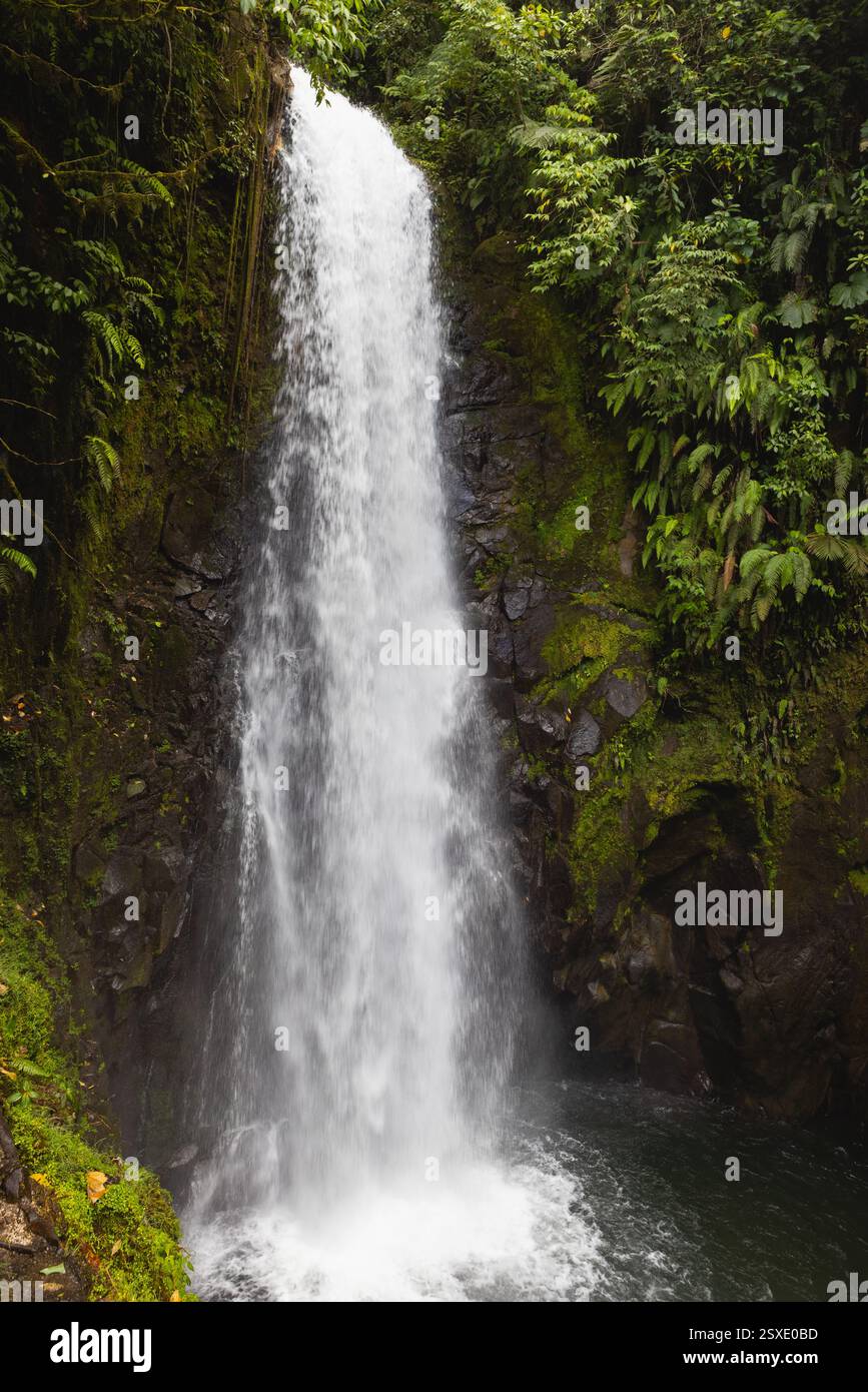 Waterfall in La Paz Waterfall Gardens Nature Park, Alajuela, Ala Stock Photo - Alamy