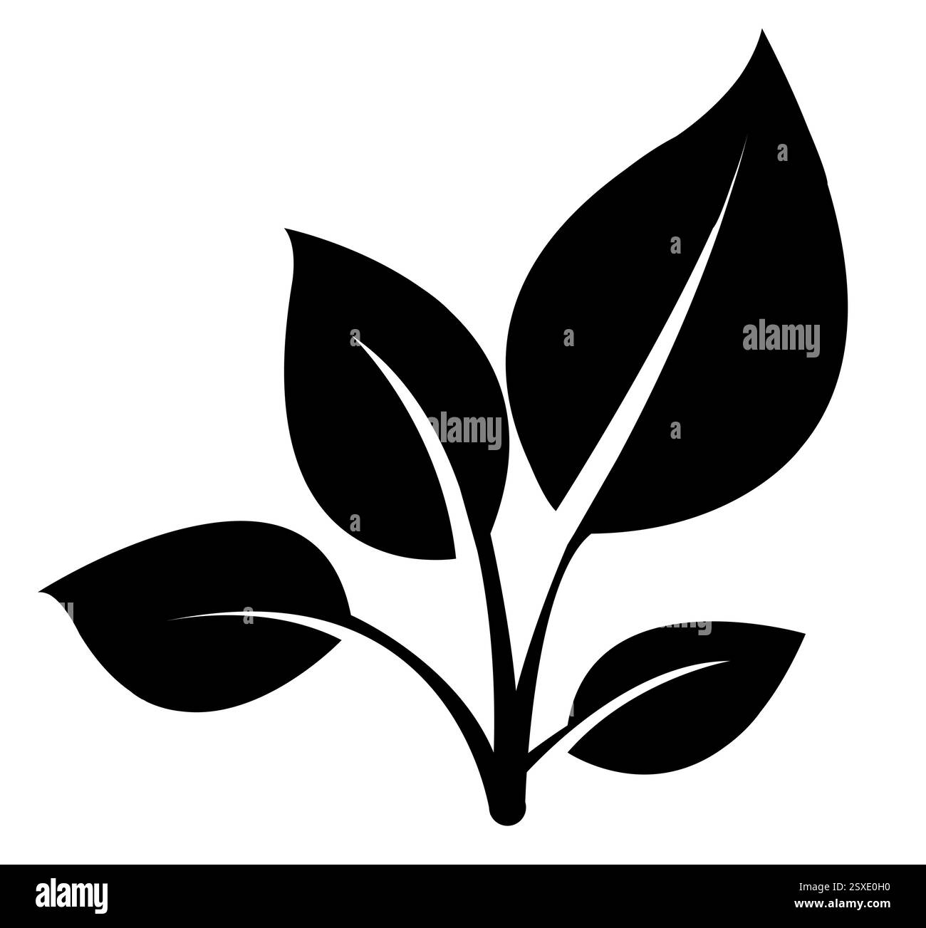 Stylized vector illustration of a simple plant with leaves growing on a ...