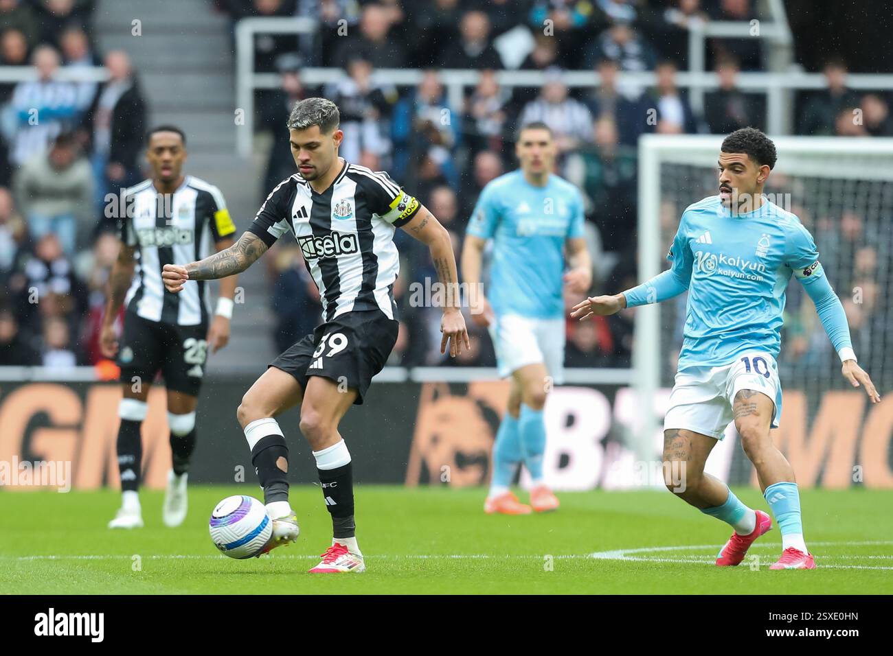 Newcastle, UK. 23rd Feb, 2025. Bruno Guimarães Of Newcastle United ...