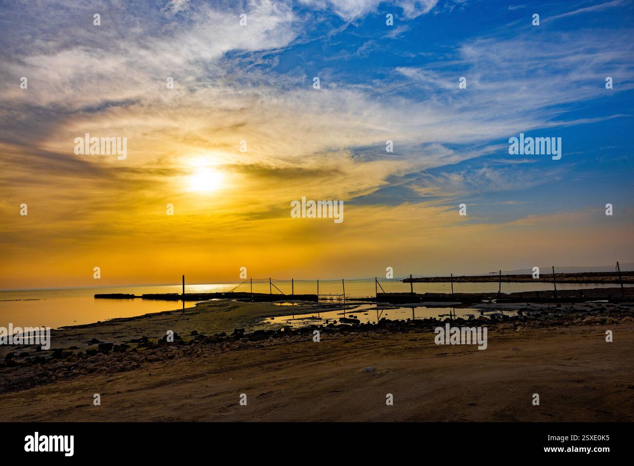 Umm Bab Beach - Palm Tree Beach Doha Qatar 24-02-2025 Stock Photo - Alamy