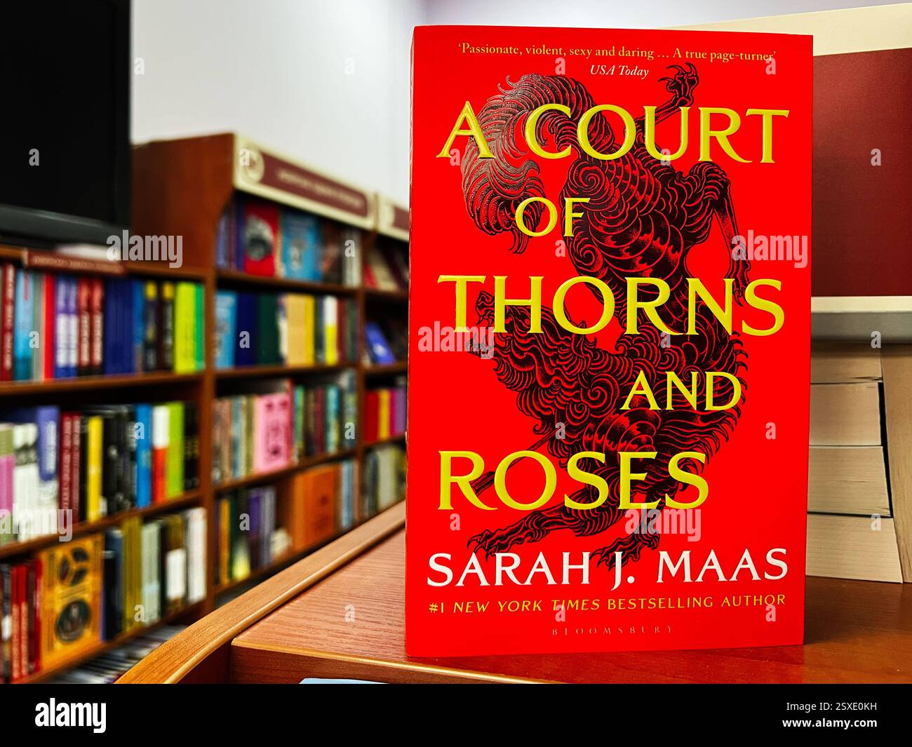 Lviv, Ukraine - February 20, 2025: A prominent display of Sarah J. Maas ...