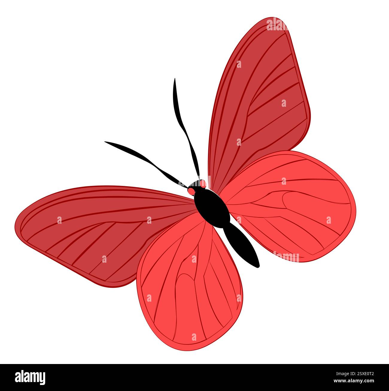 Illustration of a vibrant red butterfly with detailed wings and elegant ...