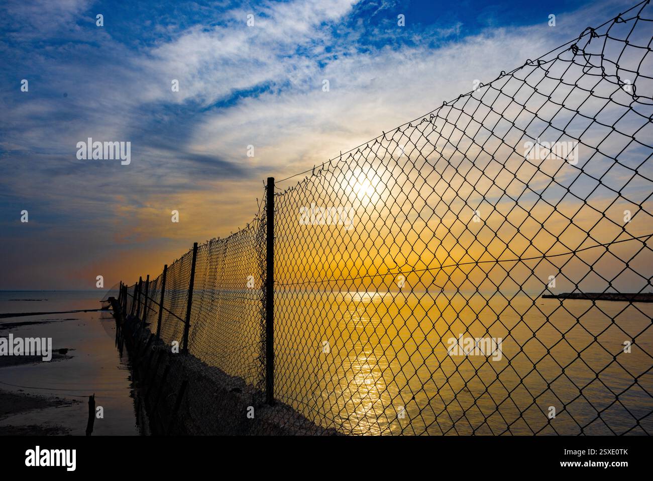 Umm Bab Beach - Palm Tree Beach Doha Qatar 24-02-2025 Stock Photo - Alamy