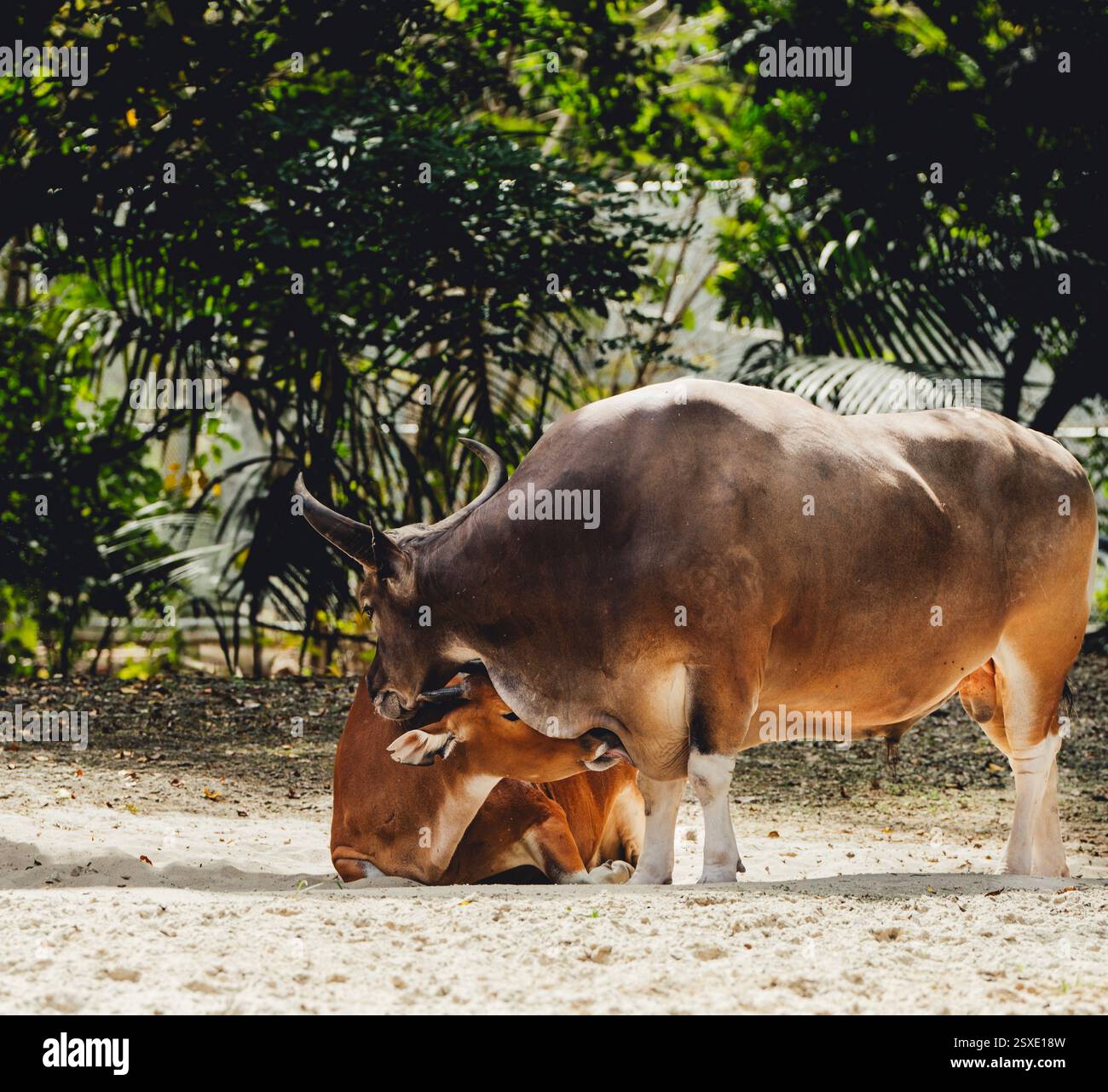 Miami field hi-res stock photography and images - Alamy